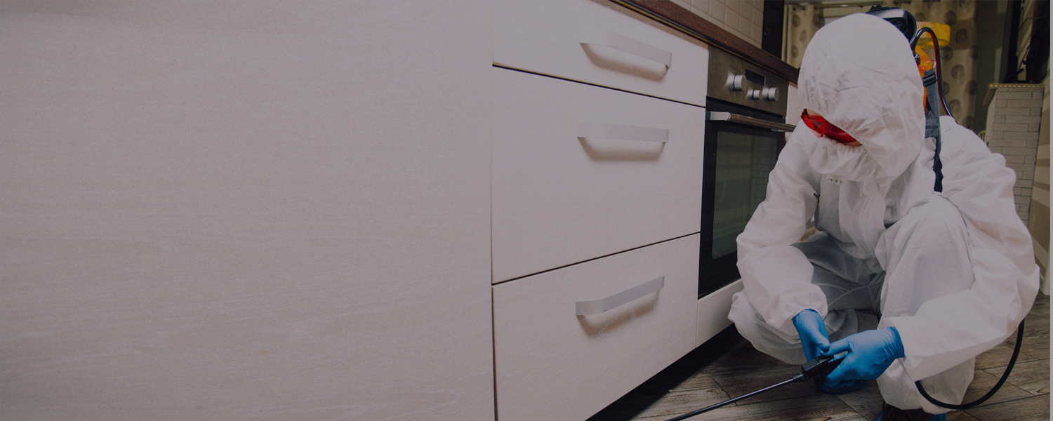 Amco Pest Control Markham